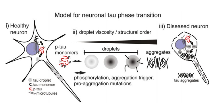 Blog – Xia lab